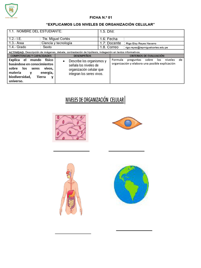 1 - FICHA - Niveles de Organización Celular | PDF