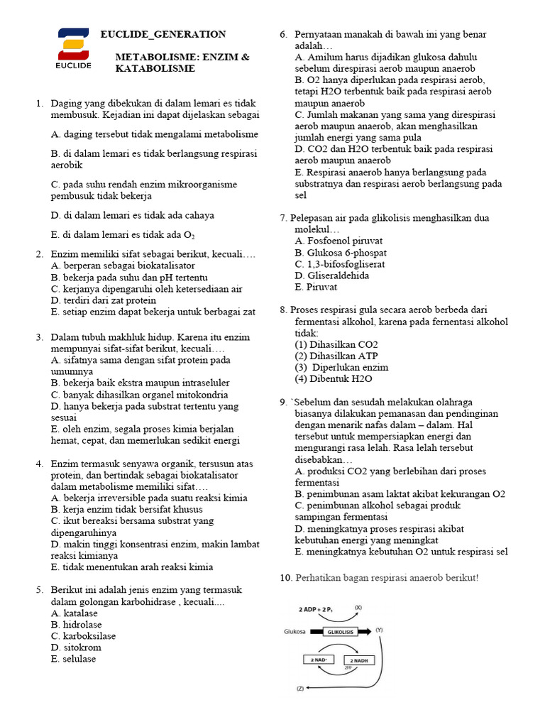 Metabolisme Soal 1 | PDF