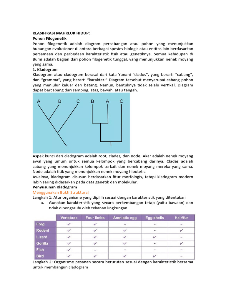 Kladogram dalam Klasifikasi Filogenetik | PDF