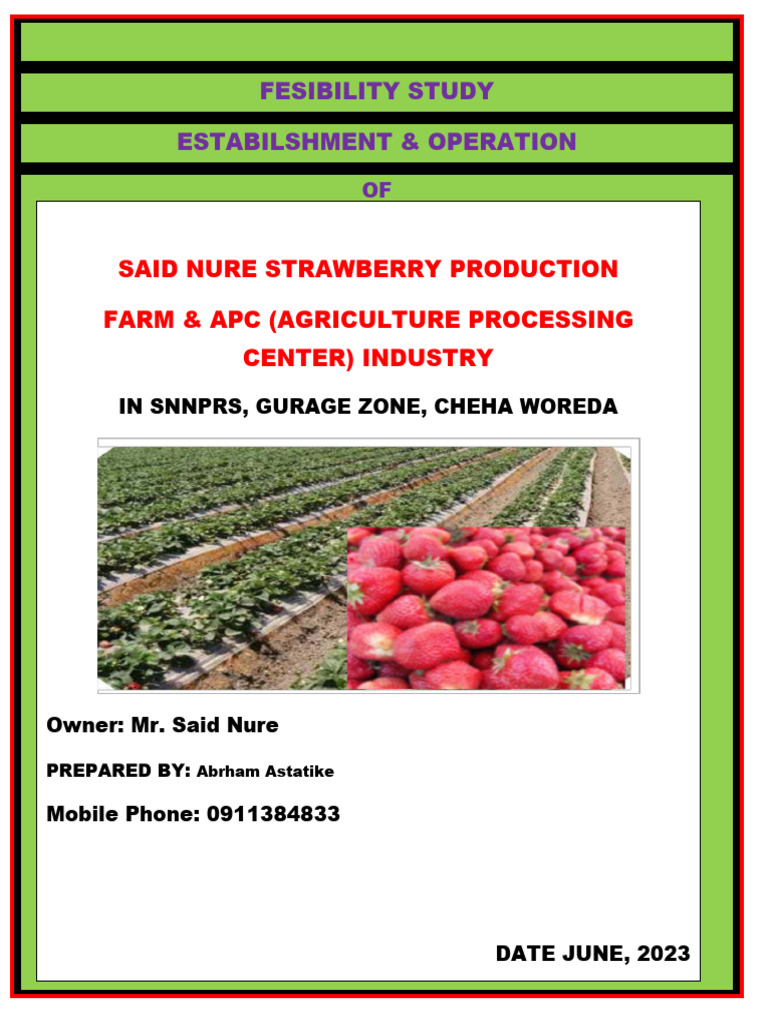 Strawberry Farm Project-2015 | PDF | Agriculture | Net Present Value