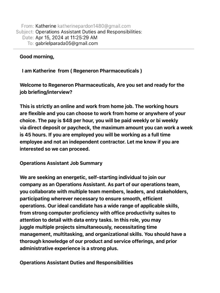 Operations Assistant Job Overview | PDF