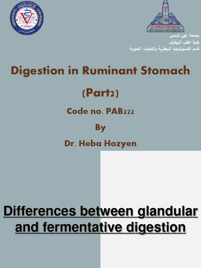 Digestion in Ruminant Stomach | PDF | Metabolism | Biology