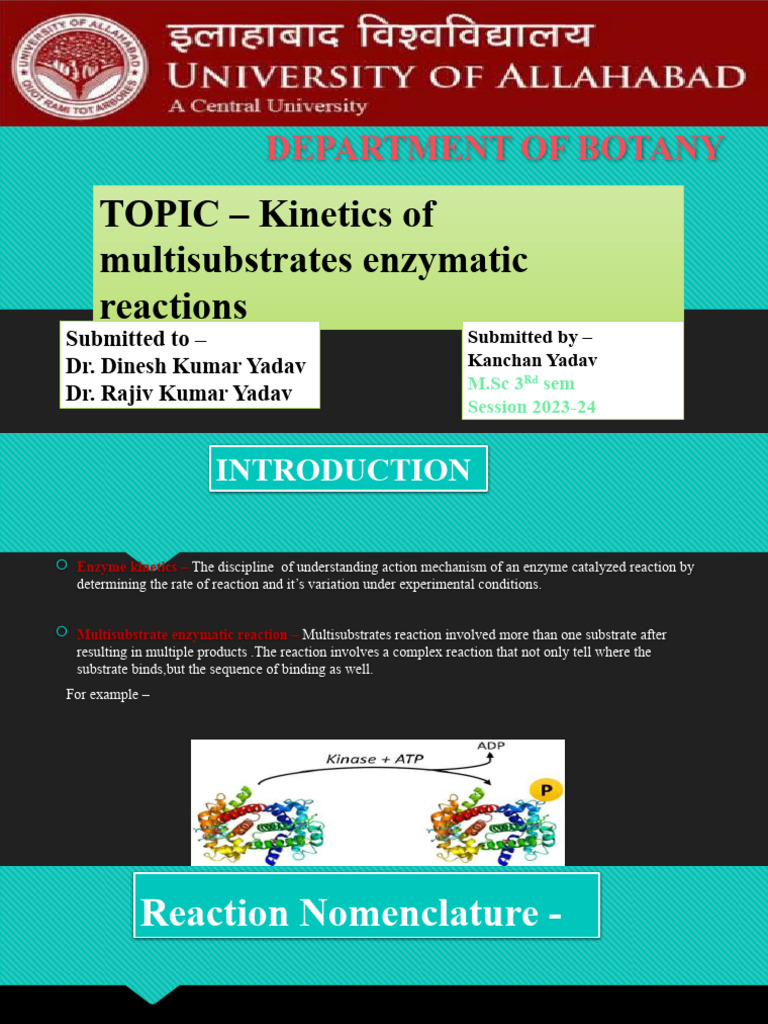 Biochemistry Presentation | PDF | Enzyme | Enzyme Kinetics