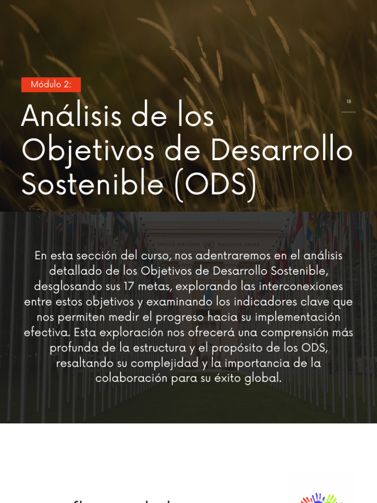 Módulo 2: Analisis de Los ODS | PDF | Sustentabilidad | Economias