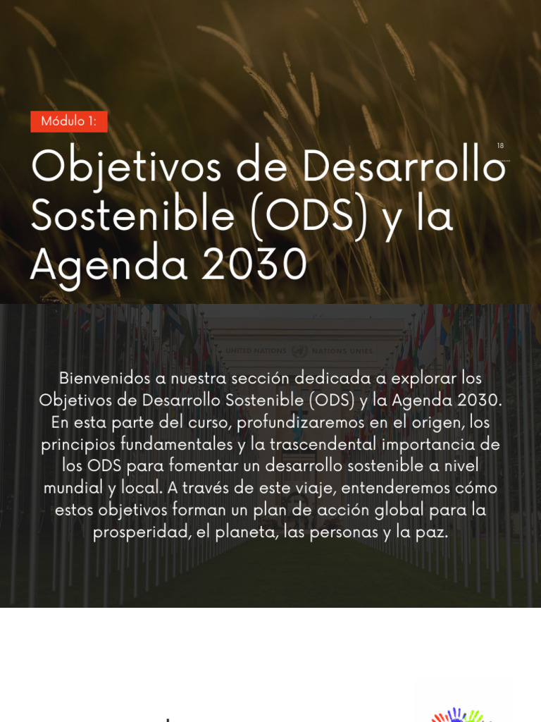 Módulo 1: ODS y Agenda 2030 | PDF | Sustentabilidad | Desarrollo sostenible