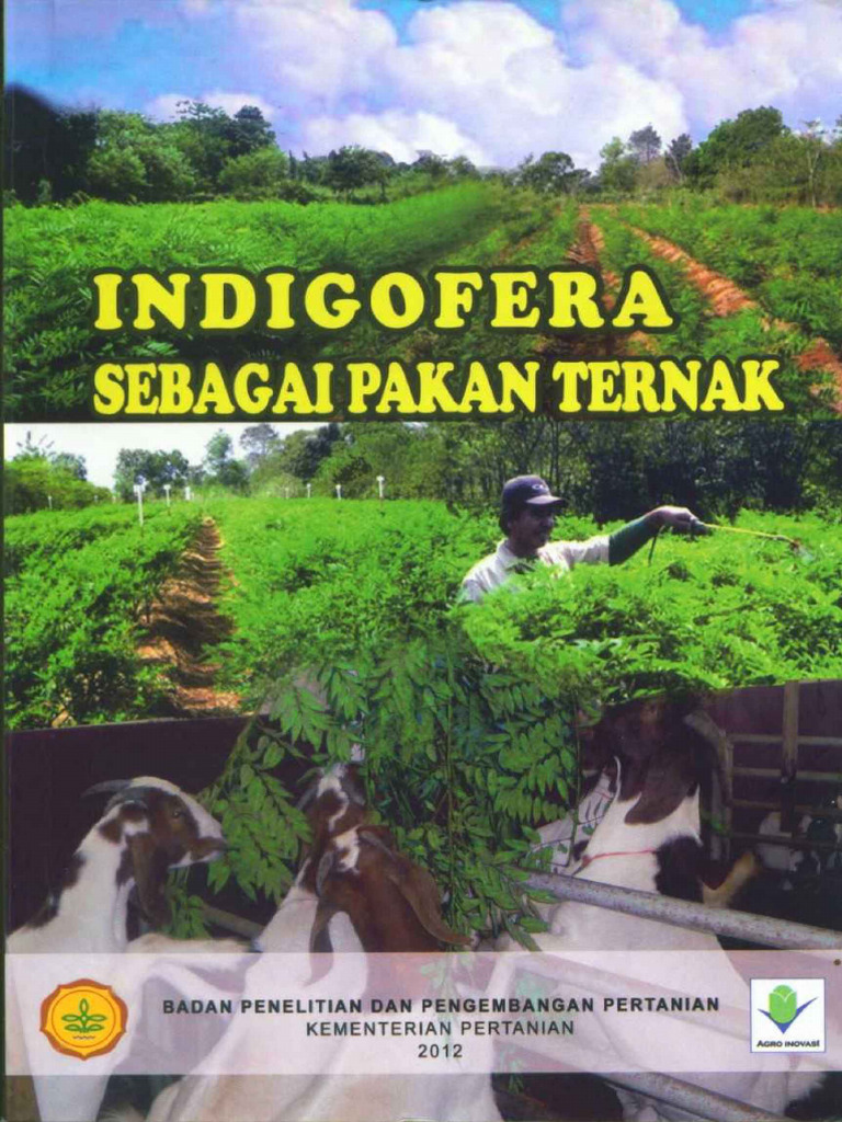 Indigofera Sebagai Pakan Ternak | PDF