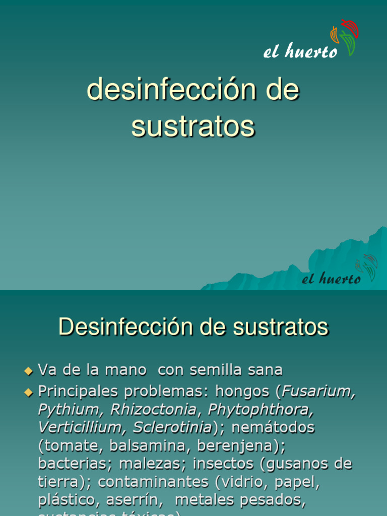 Tipos de Sustrato | PDF | Embrión | Plantas