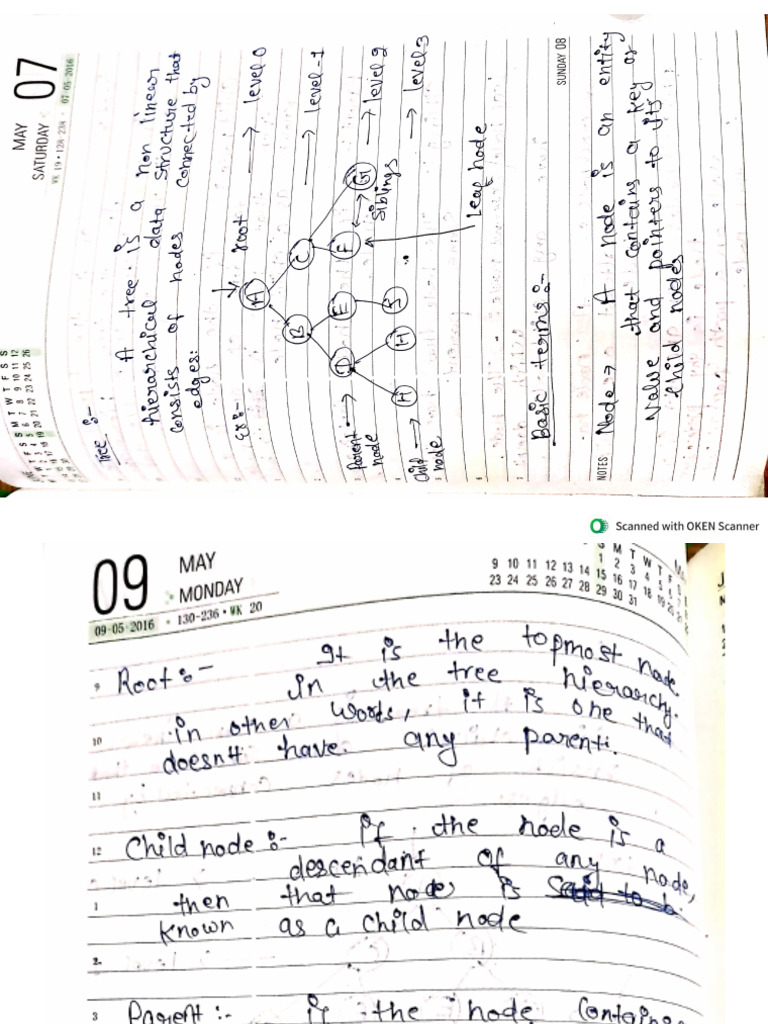 Trèe (Handwritten Notes) | PDF