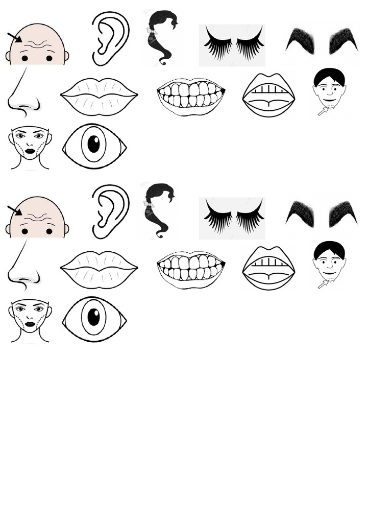 Flashcards Face Pdf