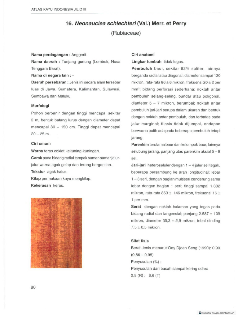 Atlas Kayu Indonesia Jilid III 1 | PDF