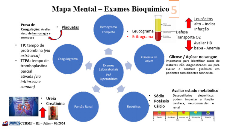 Mapa Mental - Exames Bioquímicos | PDF