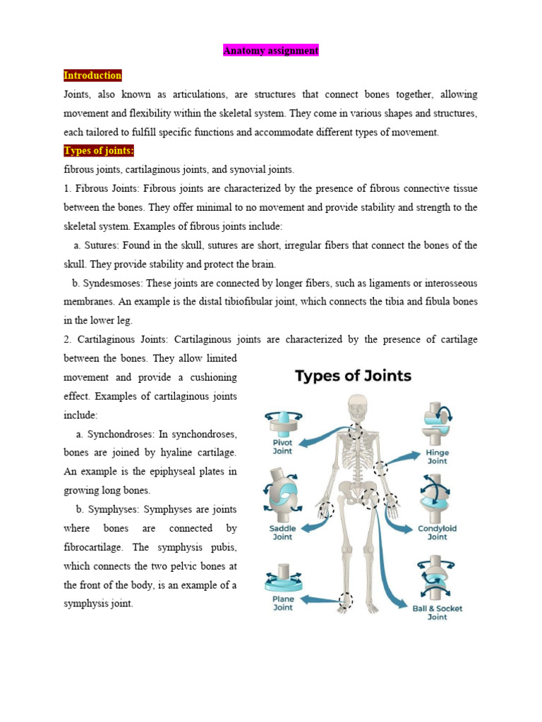 Anatomy Assignment | PDF | Anatomical Terms Of Motion | Joint