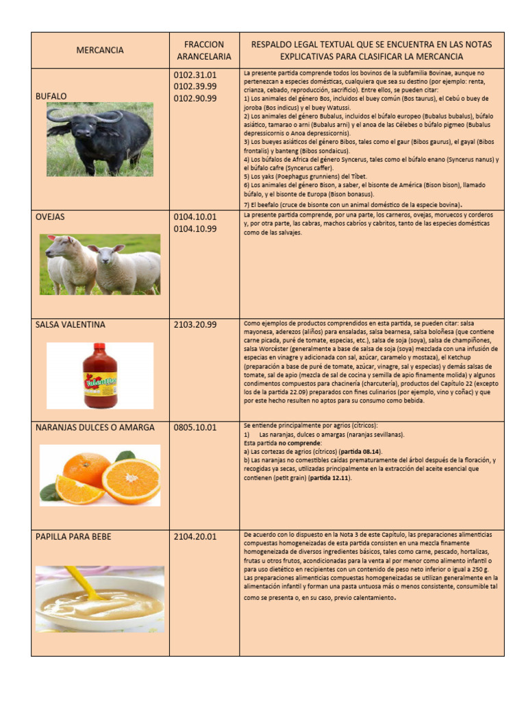 Actividad Notas Explicativas | PDF | Salsa | sal
