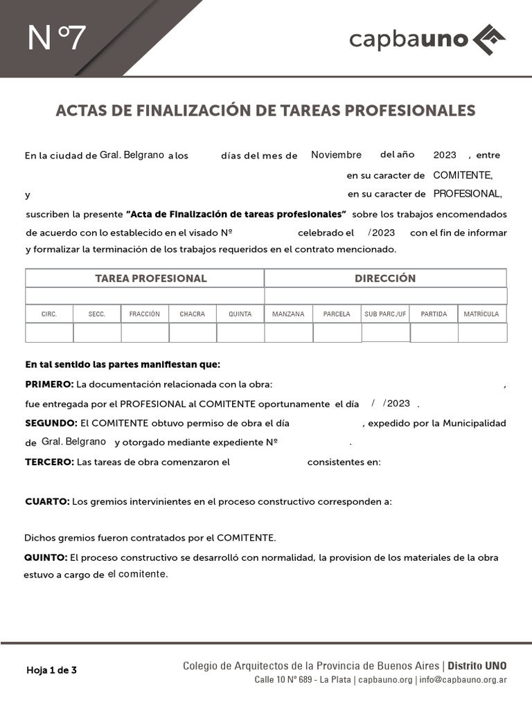 06 Acta Finalizacion de Tareas Profesionales | PDF