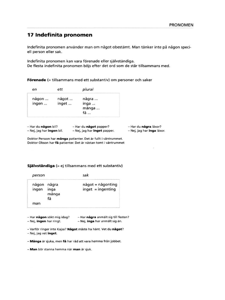 Indefinita Pronomen - FiF | PDF