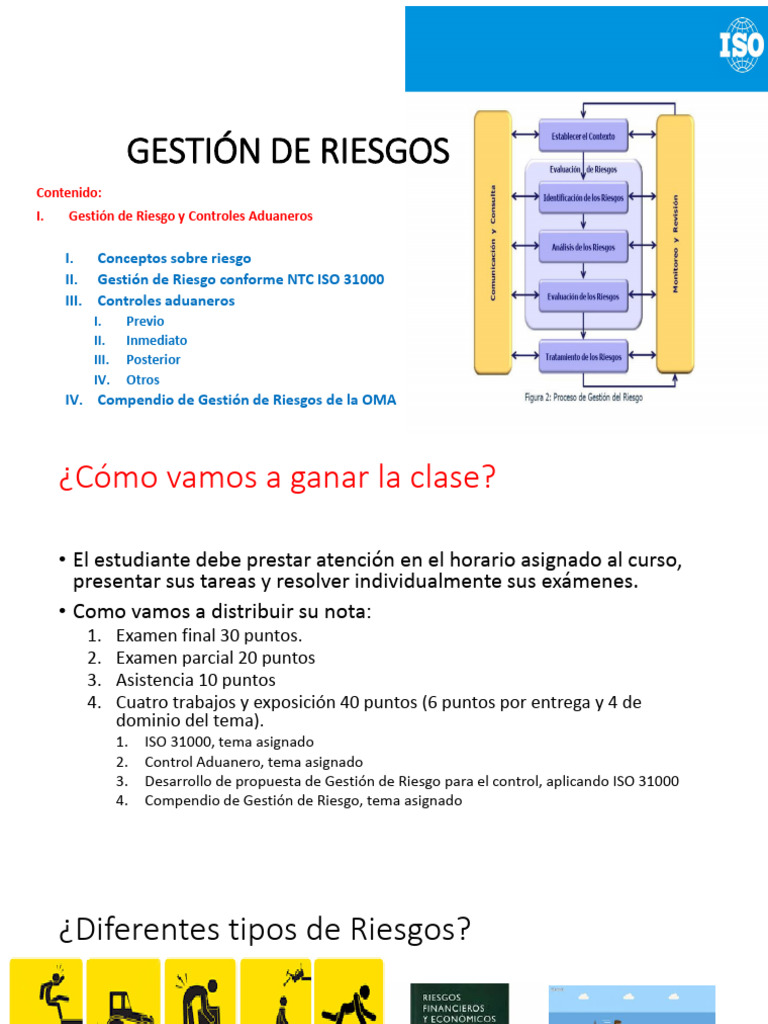 Gesti N de Riesgos Control Aduanero | PDF | aduana | Riesgo
