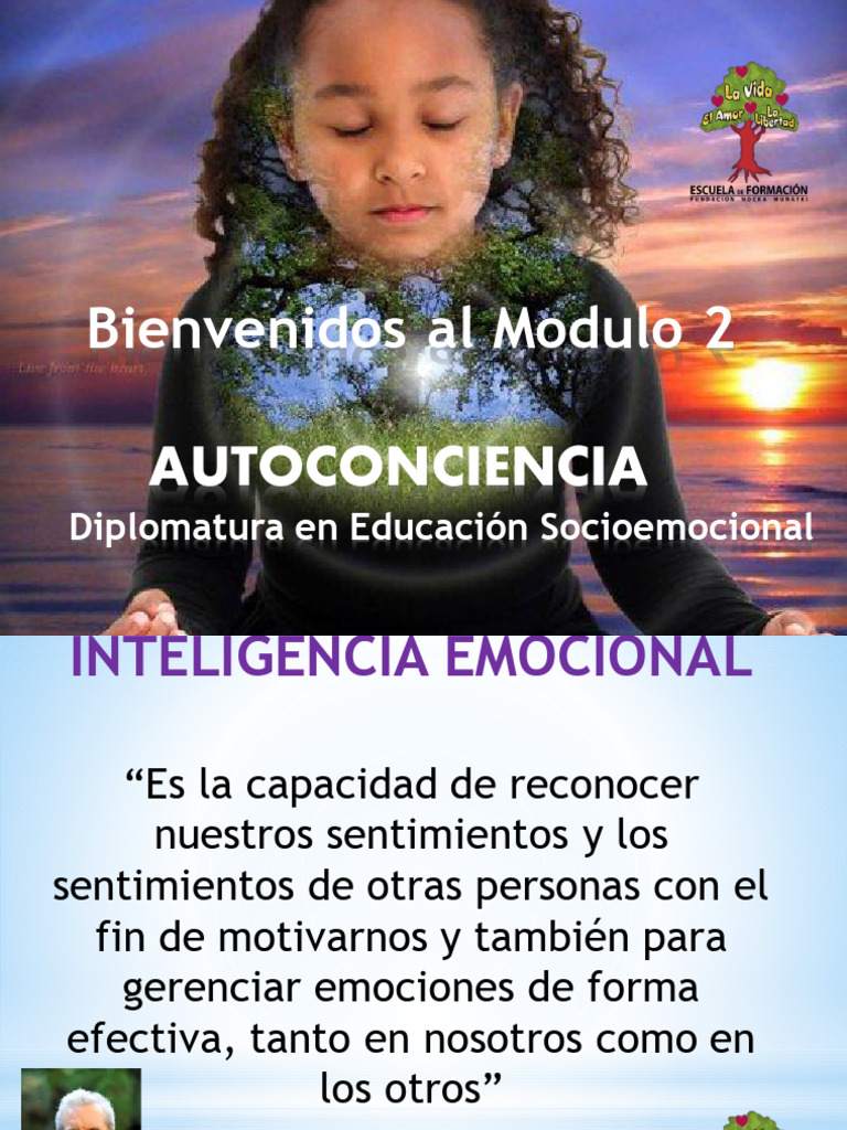 Autoconciencia en la Educación Socioemocional | PDF