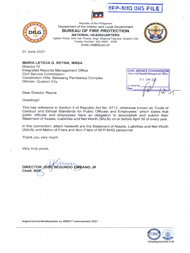 CSC Template Cy 2020 NHQ | PDF