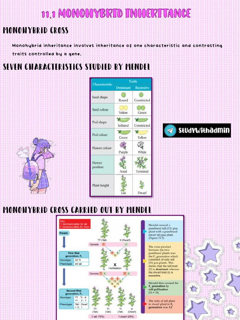 Bio CH11 F5 Studywithadmin | PDF | Dominance (Genetics) | Allele