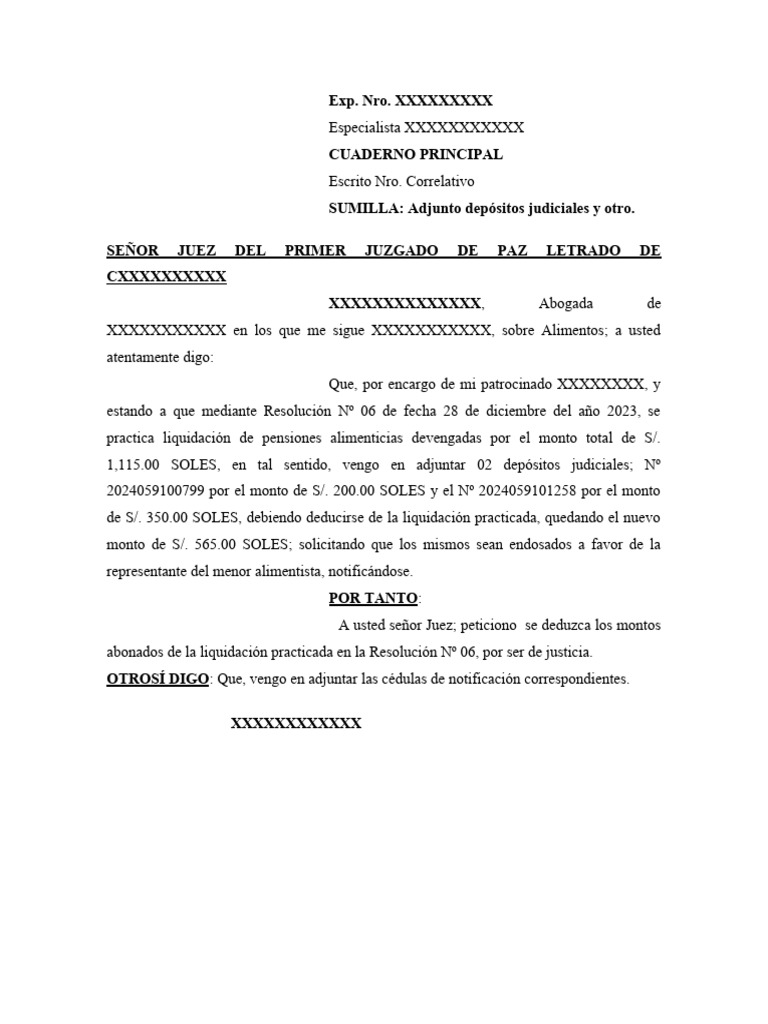 Adjunto Depositos Judiciales | PDF