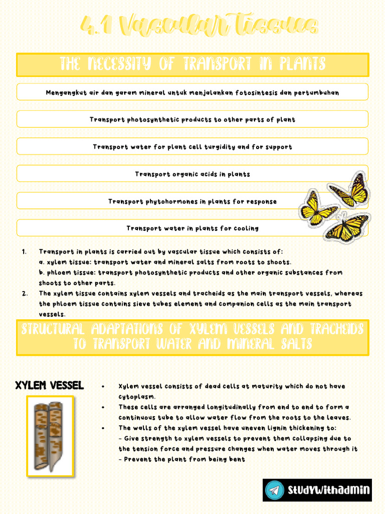 Bio CH4 F5 Studywithadmin | PDF | Tissue (Biology) | Leaf
