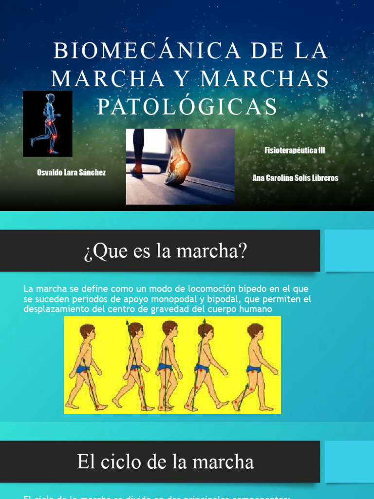 Biomecanica de La Marcha y Marchas Patologicas | Descargar gratis PDF ...