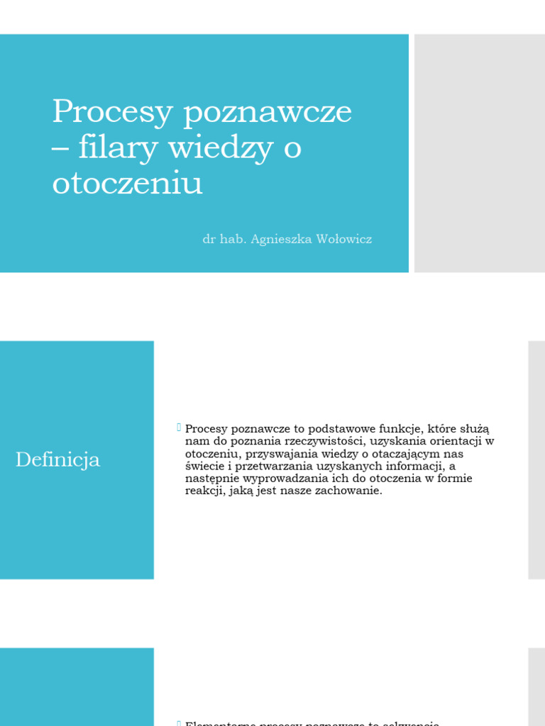 Procesy Poznawcze-1 | PDF