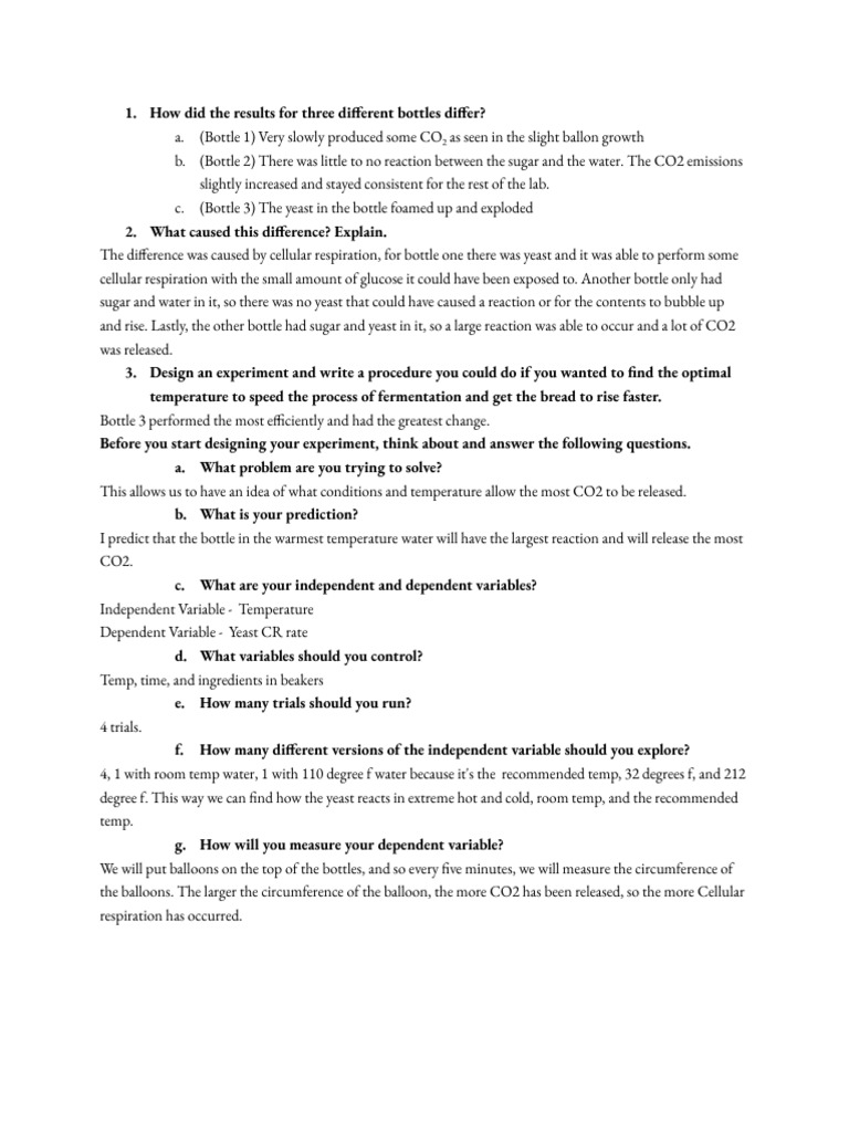 Yeast Experiment Questions | PDF | Carbon Dioxide | Yeast