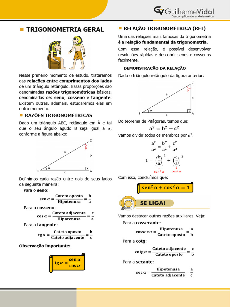 trigonometria completa | PDF | Trigonometria | Geometria Elementar