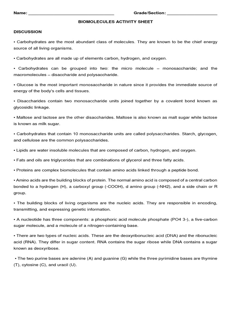 Biomolecules Activity Sheet | PDF | Biomolecules | Carbohydrates