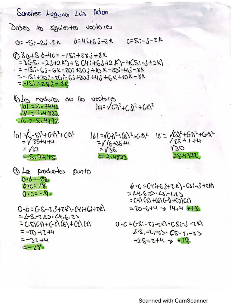 Ct1 vectorial examen | PDF