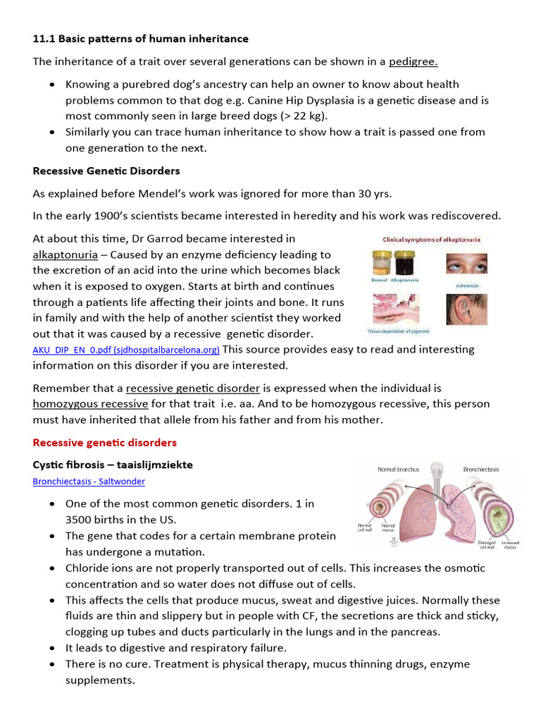 11.1 Basic Patterns of Human Inheritance | PDF | Dominance (Genetics ...