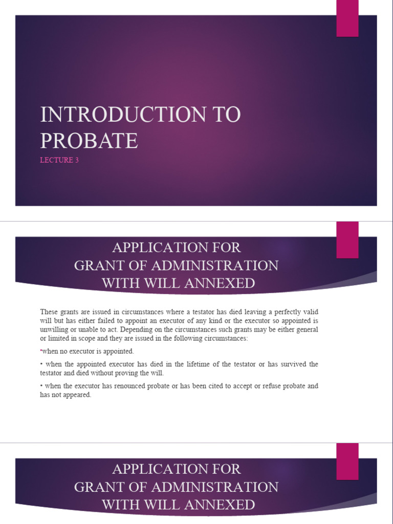 Executor's Guide to Grant of Administration | PDF | Probate | Will And ...