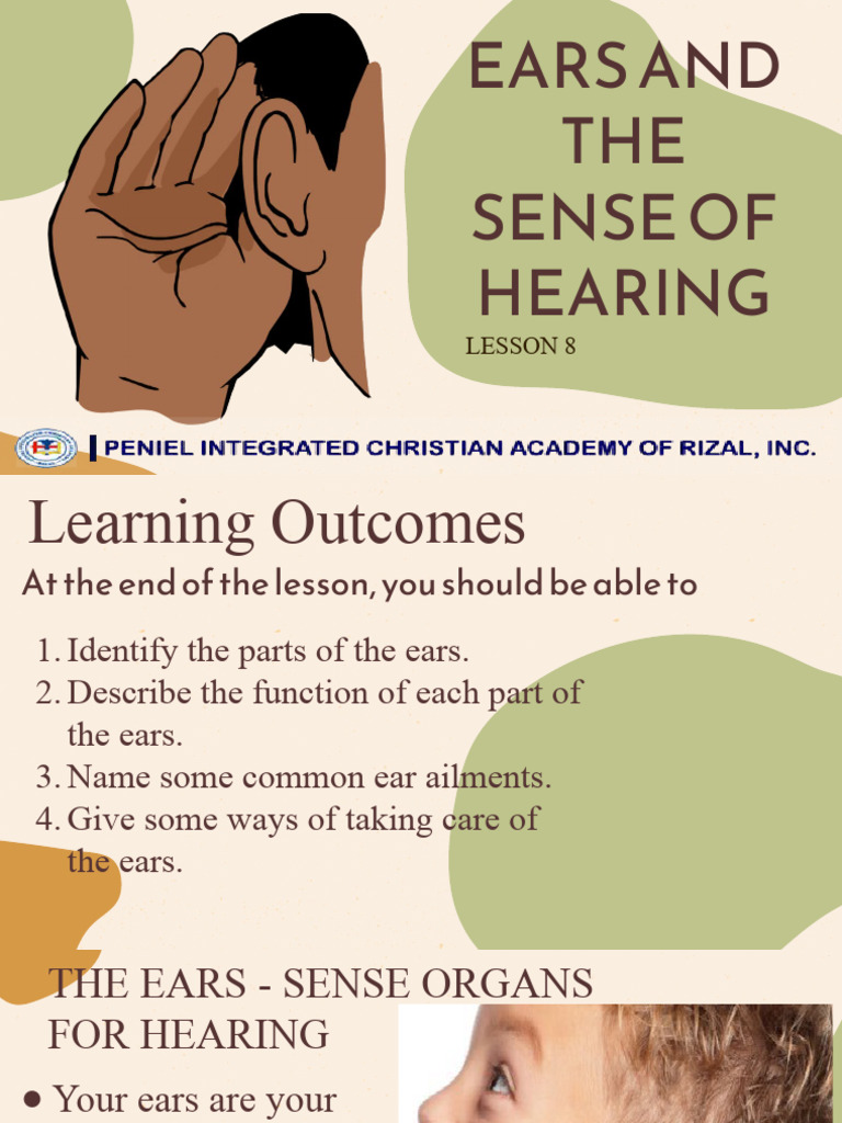 Science3.Chapte3 - Lesson 8 Ears and The Sence of Hearing | PDF | Ear ...