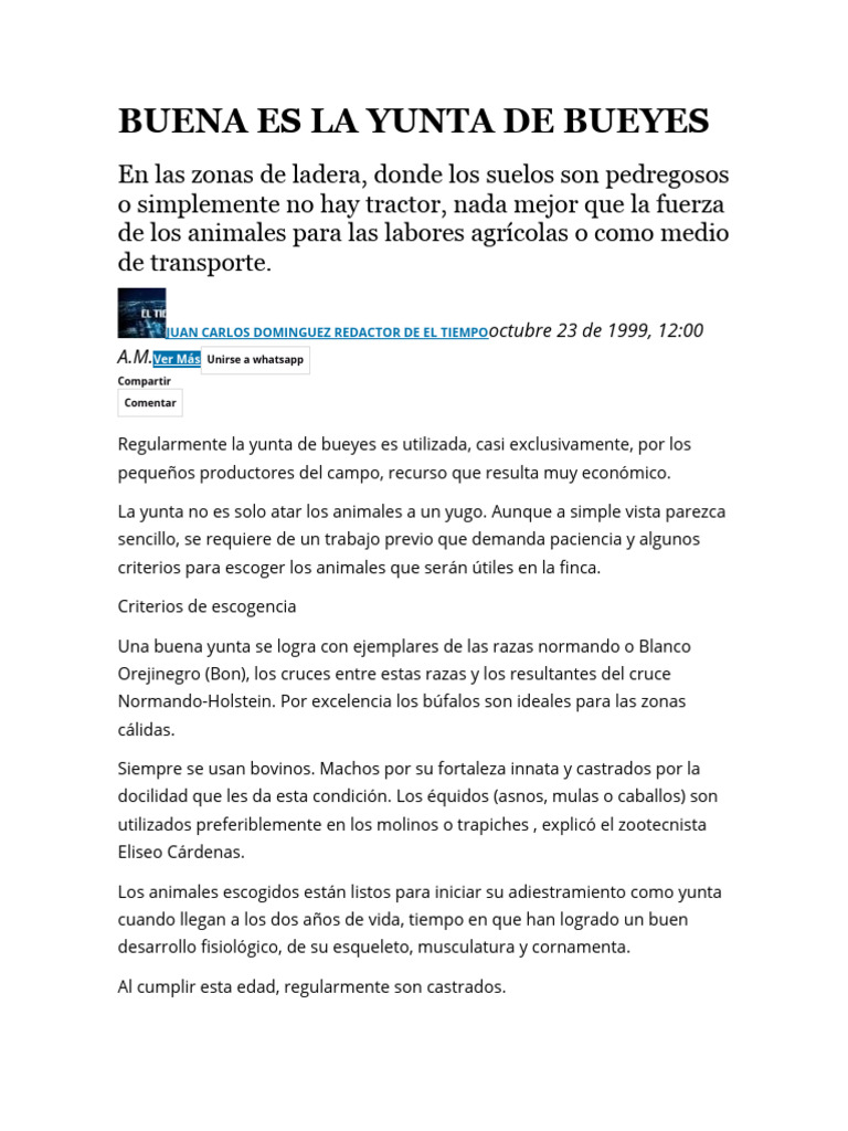 La importancia de la yunta de bueyes | PDF | Vacas