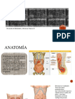 Maniobra de Mathieu en Exploración Abdominal | PDF | Abdomen | Bazo
