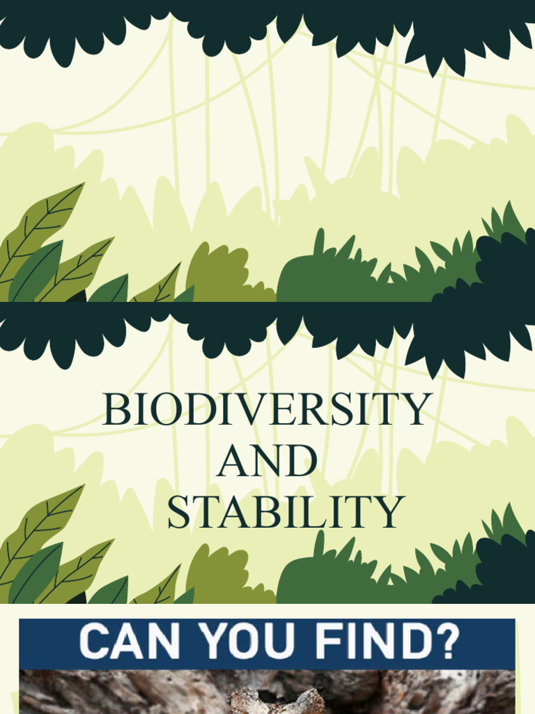 Biodiversity and Stability | PDF | Adaptation | Biodiversity