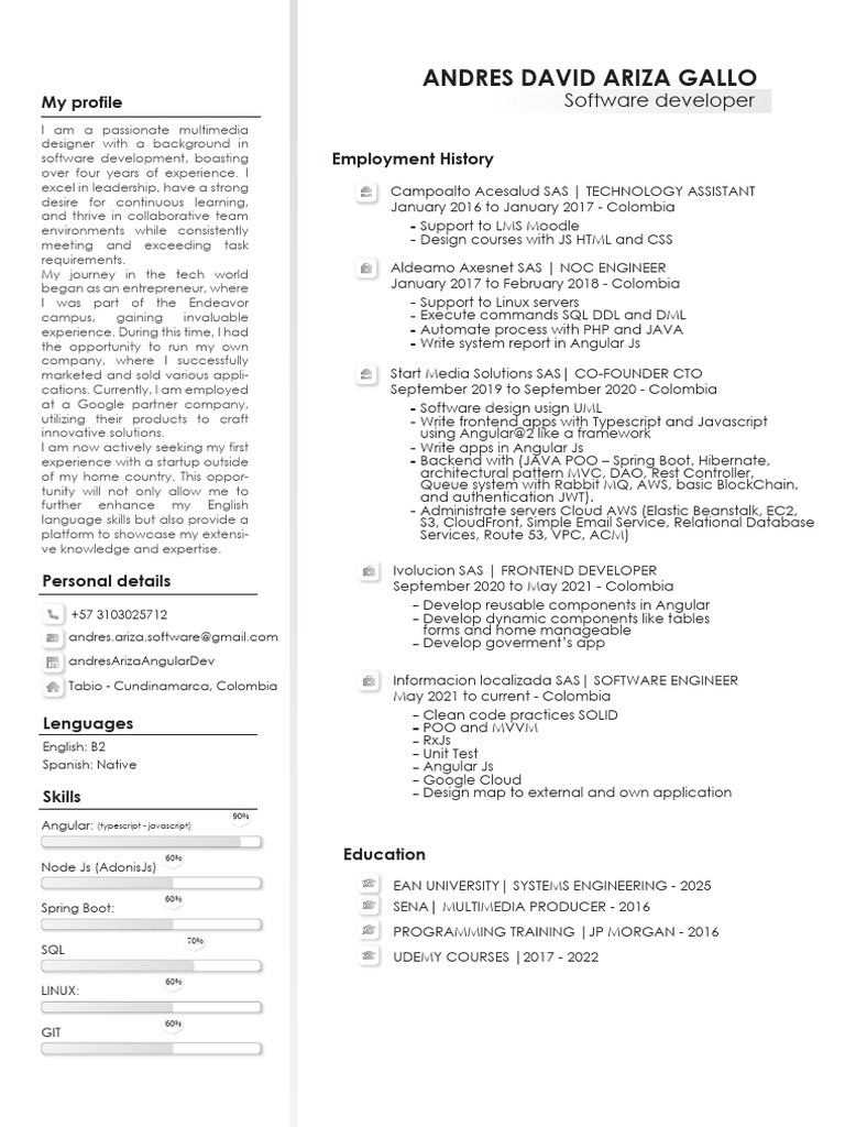 Cv English | PDF | Information Technology | Computer Science