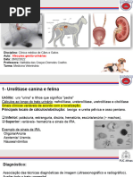 IRIS - Pocket - Guide - To - CKD - 2023 TRADUZIDO | PDF | Creatinina ...