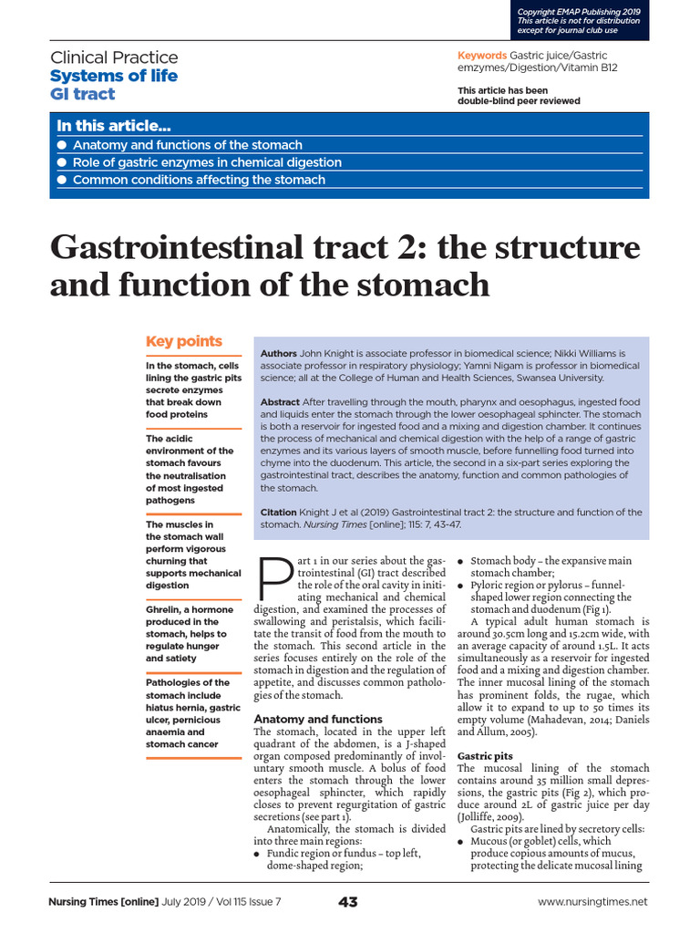 52499 | PDF | Stomach | Digestion