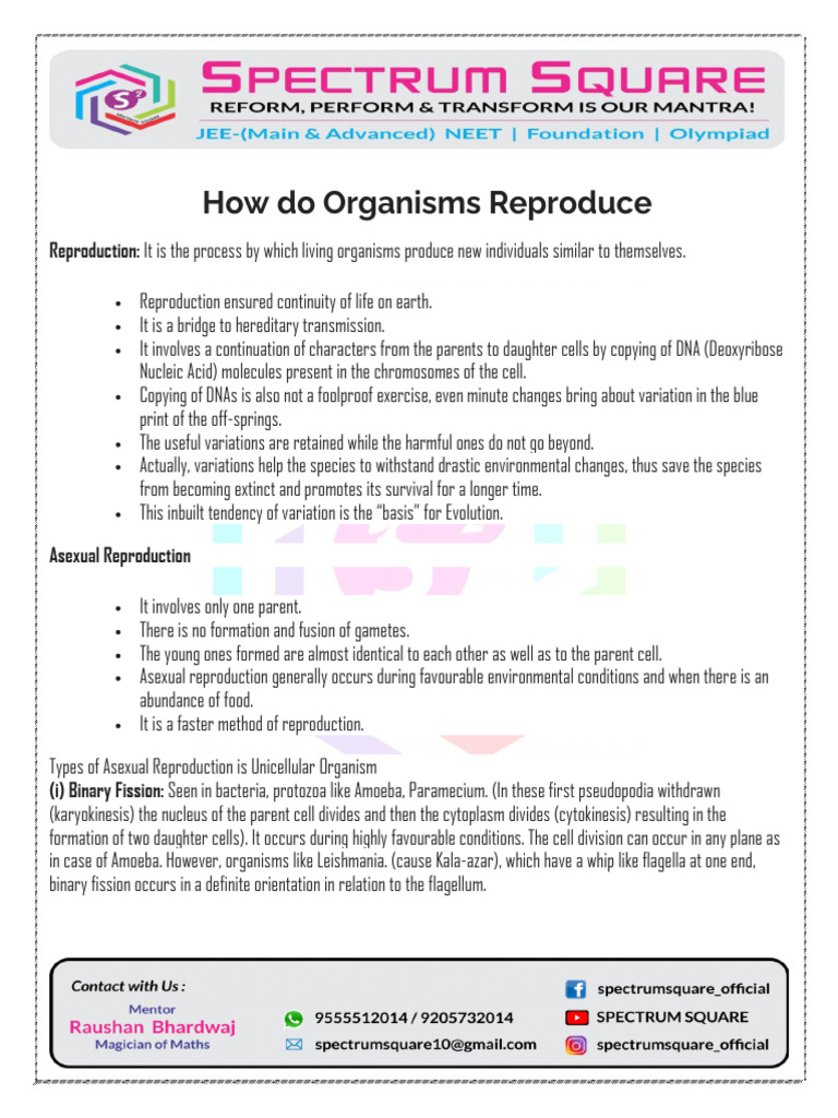 Reproduction Spectrum Square | PDF | Flowers | Uterus