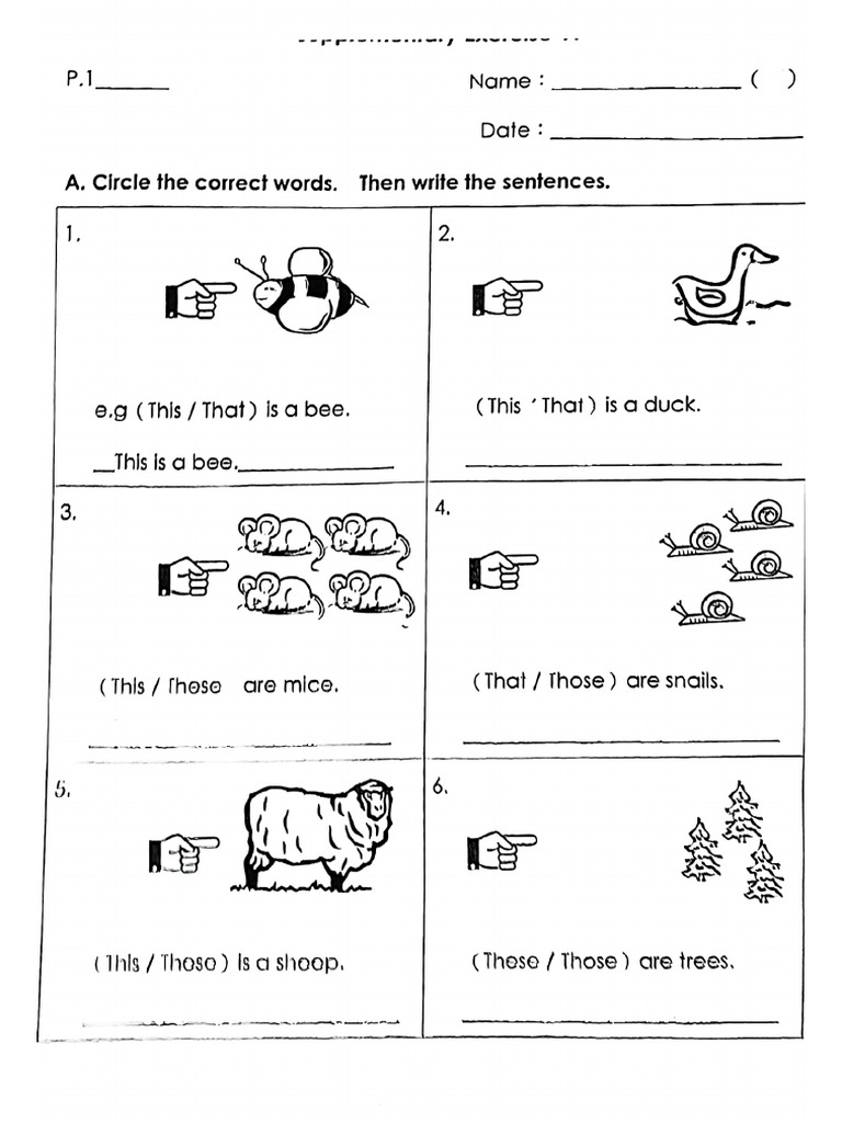 P1 - 英文 - Exercise (This, That) | PDF