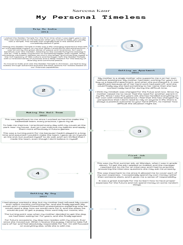 Multicolor Professional Business Timeline Infographic | PDF