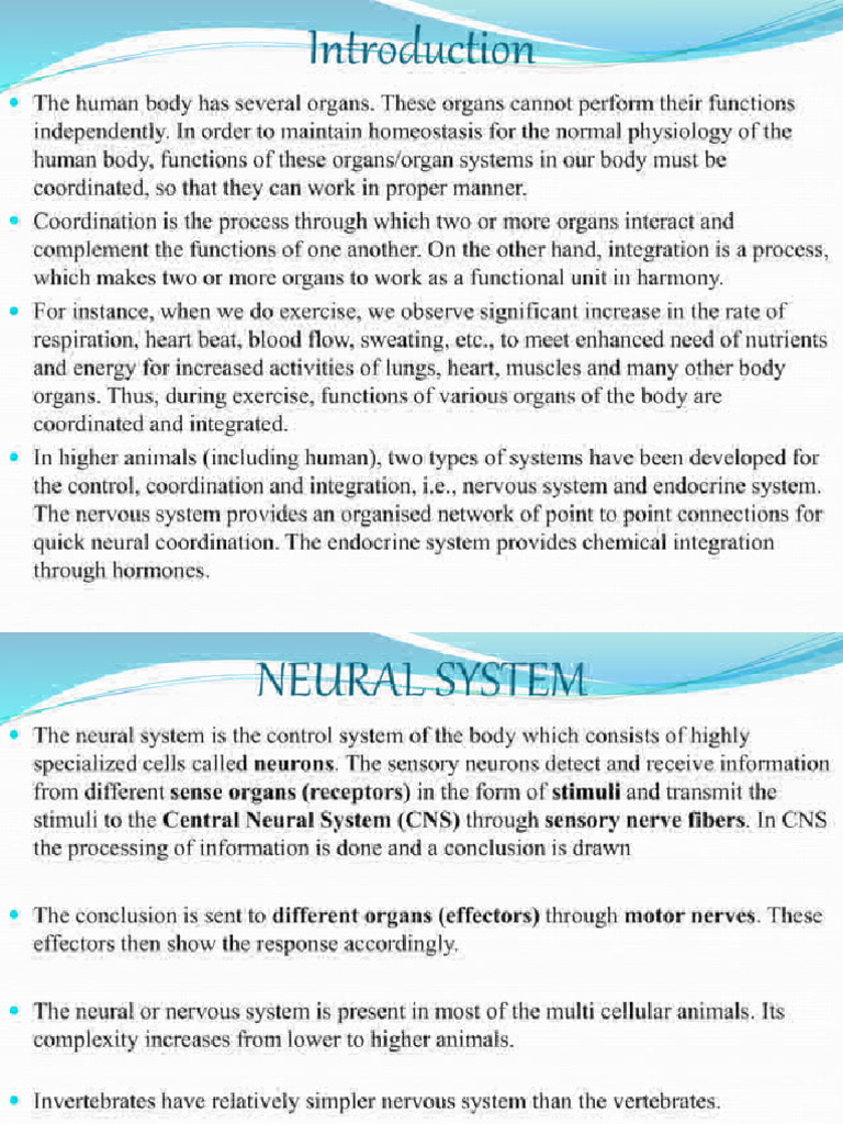 Neural Control Mechanisms | PDF