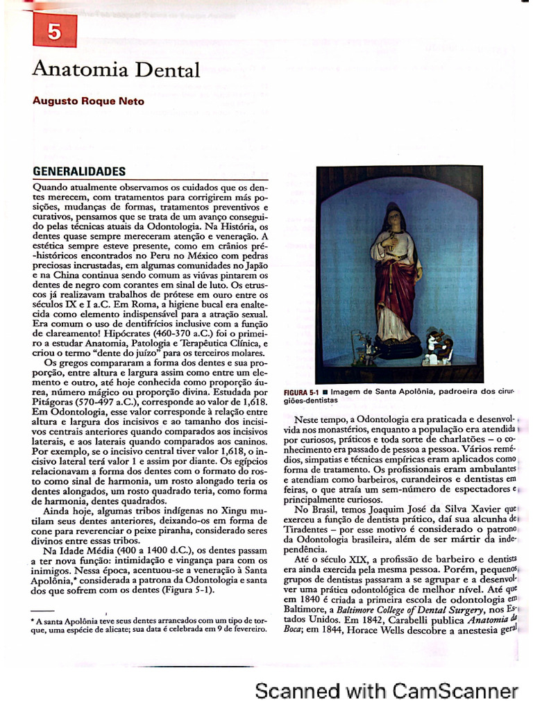 Capítulo Anatomia Dental | PDF