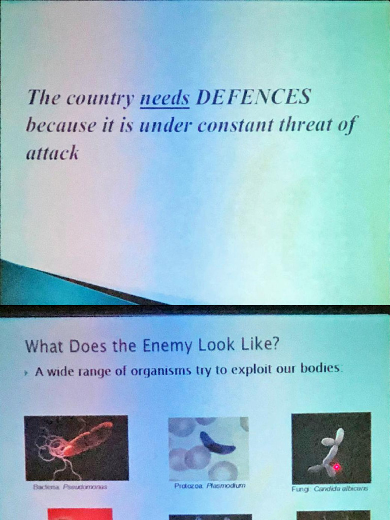 Innate and Acquired Immunity | PDF