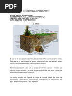 Capas del Suelo: Tipos y Características | PDF | Suelo | Erosión