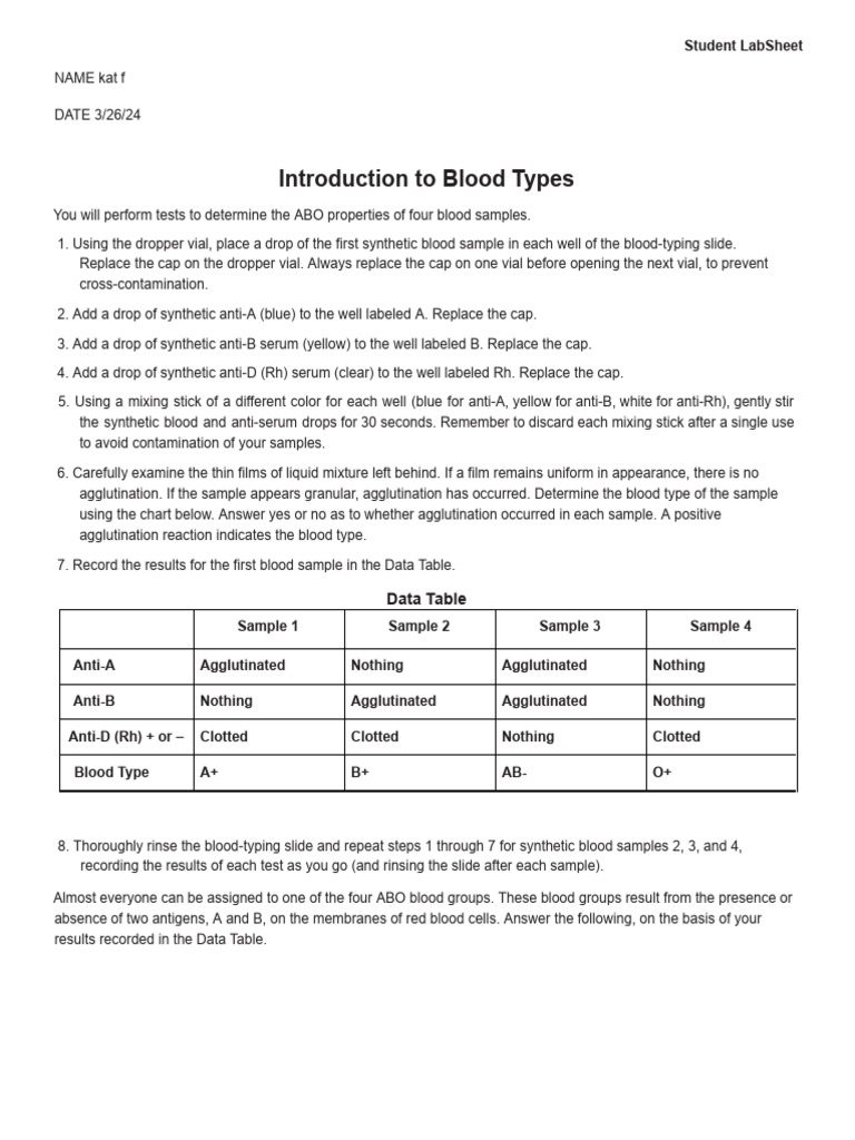 Blood Typing Worksheet - KF | PDF | Blood Type | Animal Anatomy