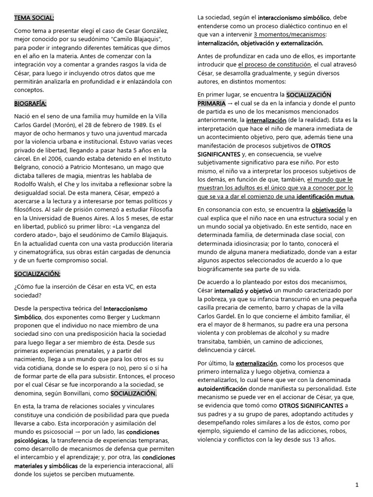 Tema Social Final | PDF | Socialización | Psicología Social