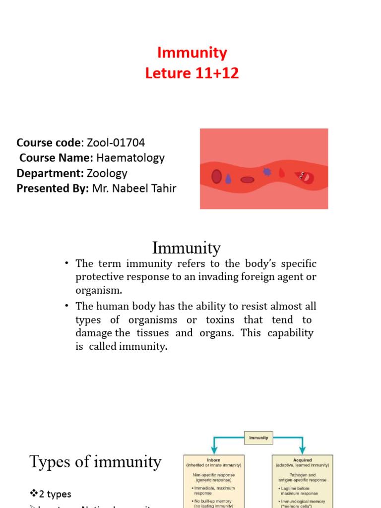 Haematology Lecture 11+ 12 | PDF | Phagocyte | Immune System